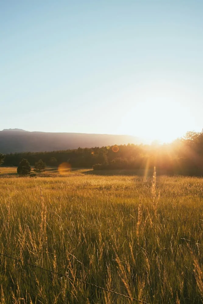Parker, CO - Brandon, SD - Monument, CO - Healing Journey Counseling LLC