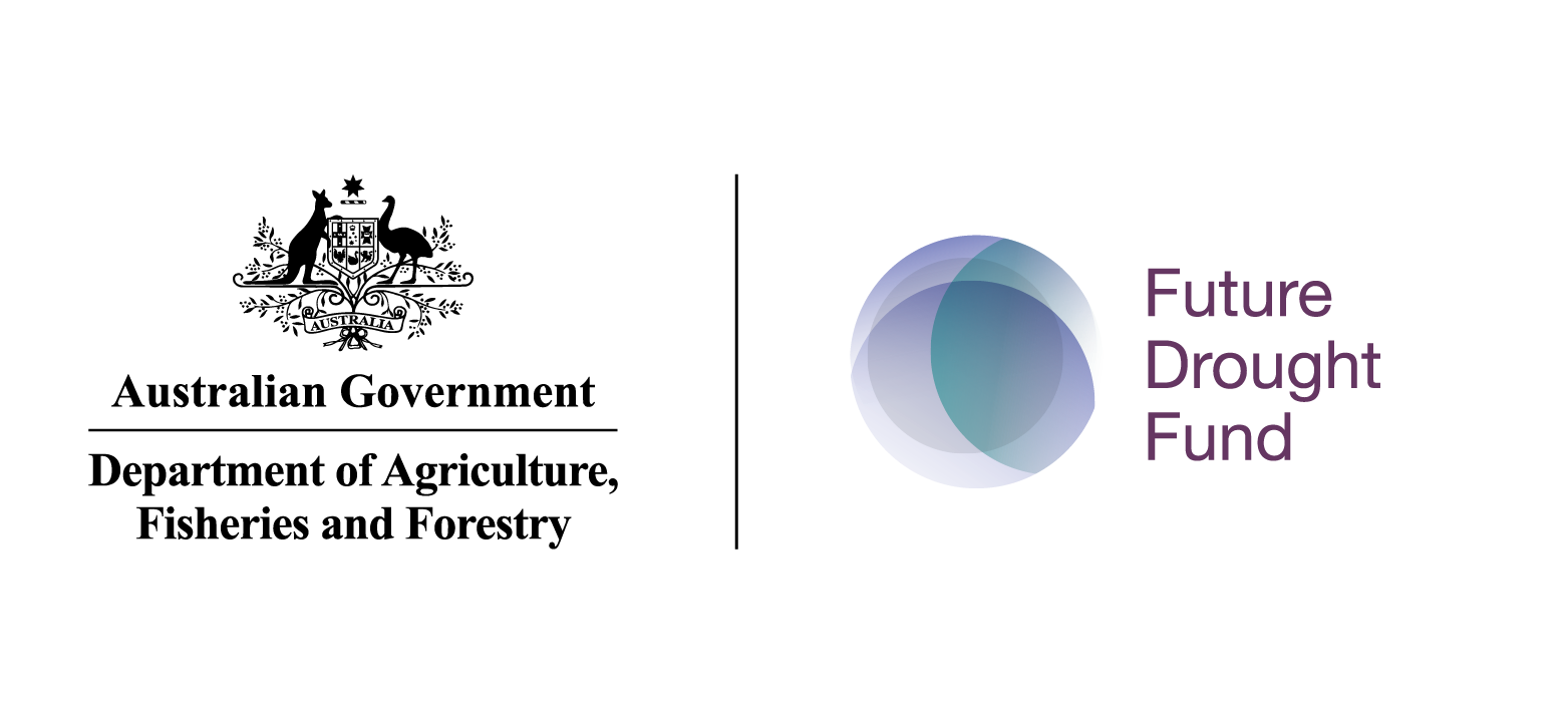 Drought Venture Studio