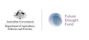 Drought Venture Studio