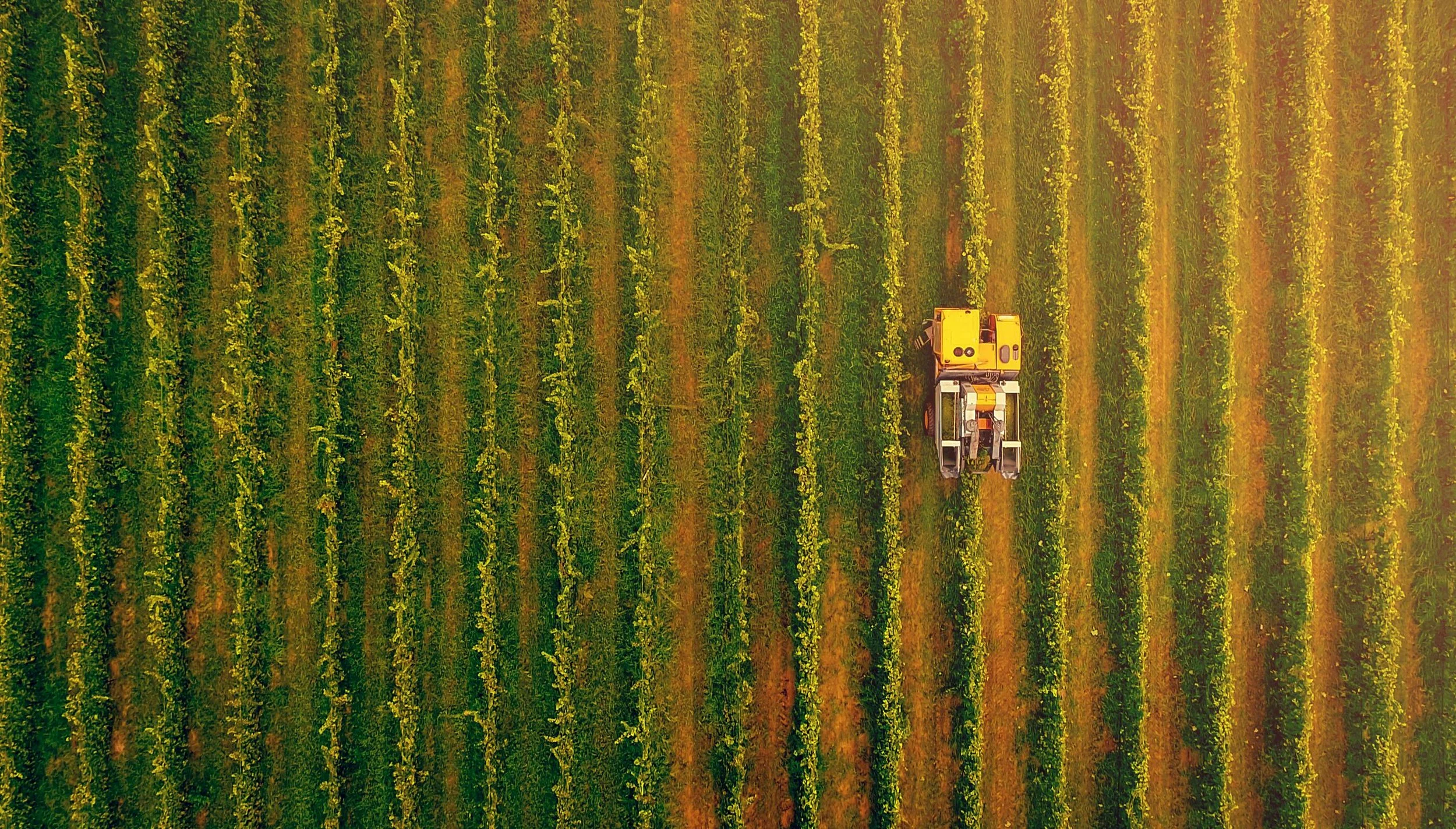 Drought Venture Studio