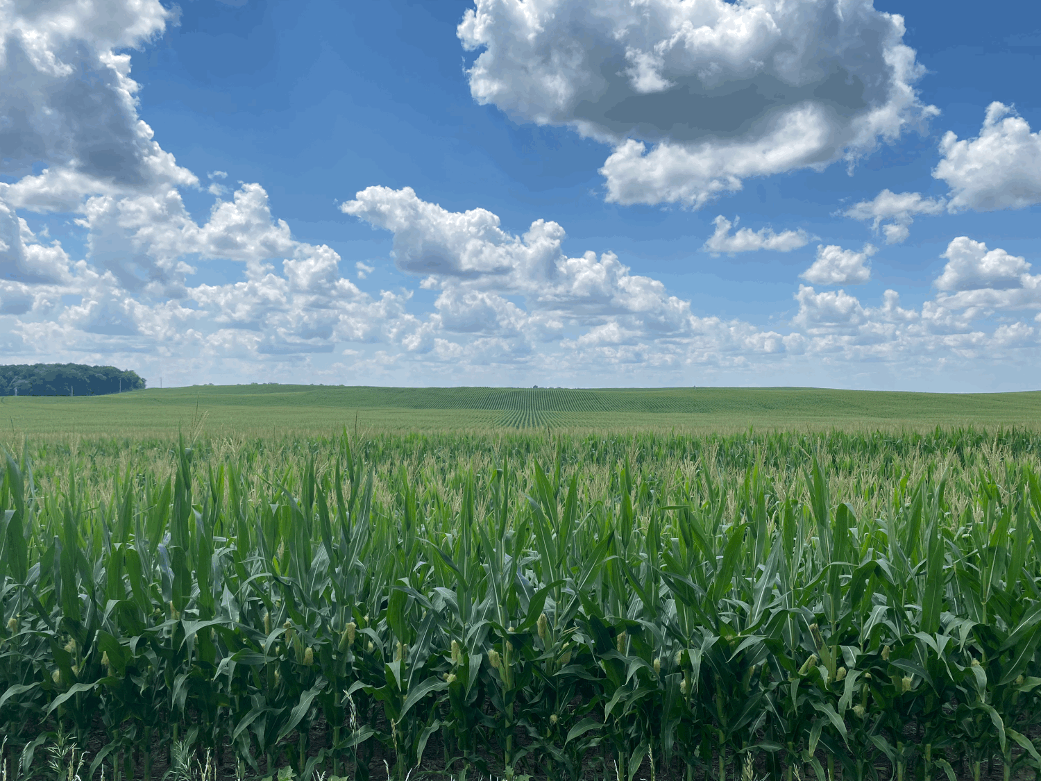 Our Activities — 2Blades