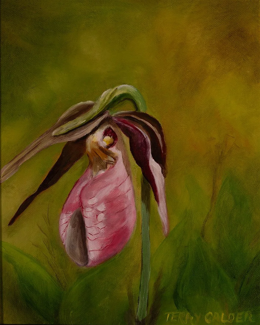 Lakes Region Art Gallery