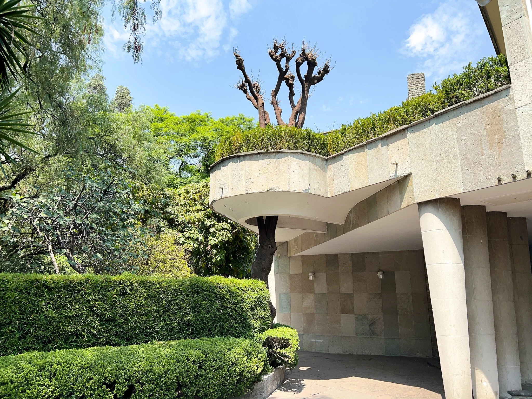 Reforma 1245 | Descubre tu espacio ideal — VenuesCdmx