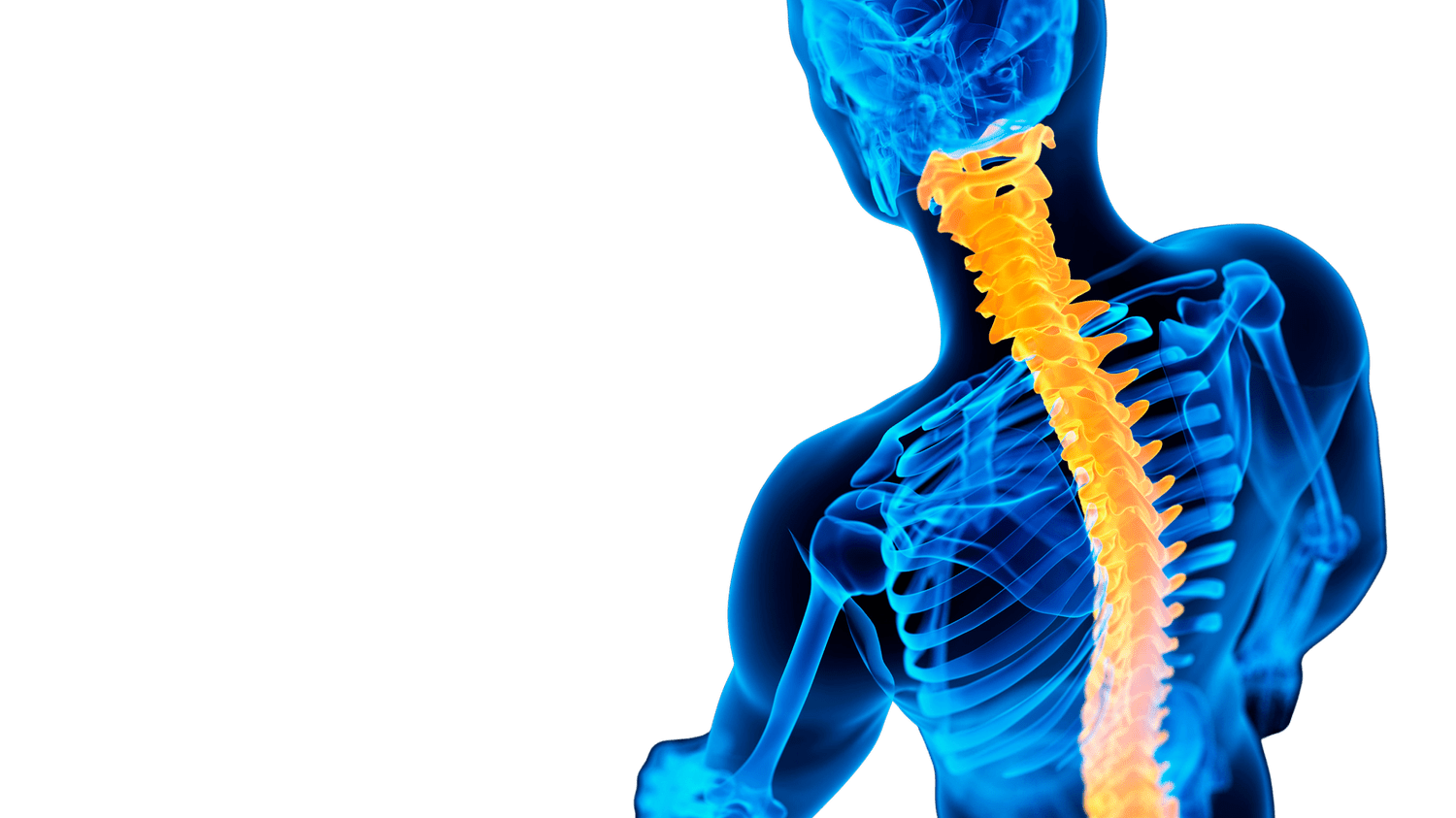 Spine Care Specialists of Alaska – Minimally Invasive Spine Surgery in ...