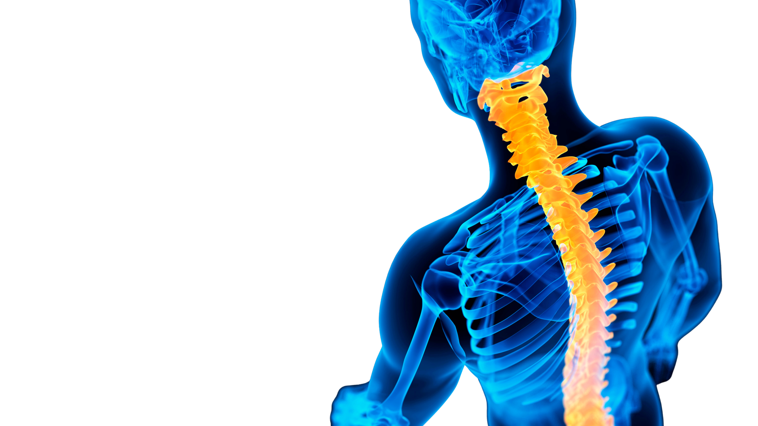 Spine Care Specialists of Alaska – Minimally Invasive Spine Surgery in ...