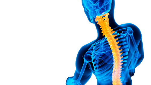 Spine Care Specialists of Alaska – Minimally Invasive Spine Surgery in ...