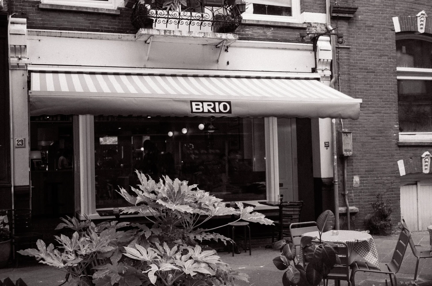BRIO restaurant