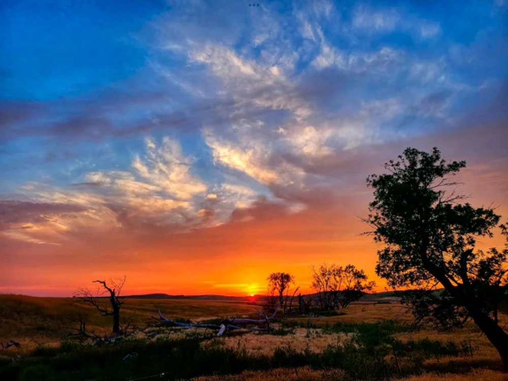 Contact — Timber Lake SD