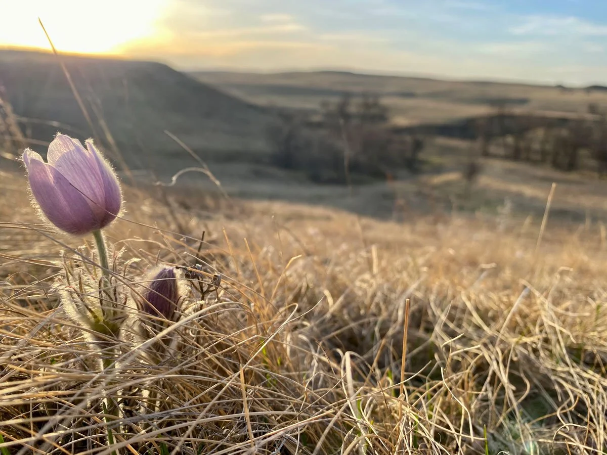 About Timber Lake — Timber Lake SD