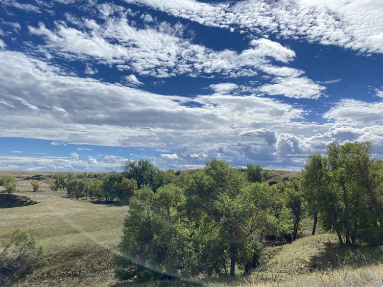 Timber Lake SD
