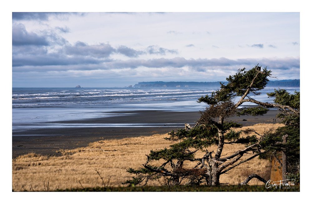 Pacific Beach Washington - Washington's Best Kept Secret