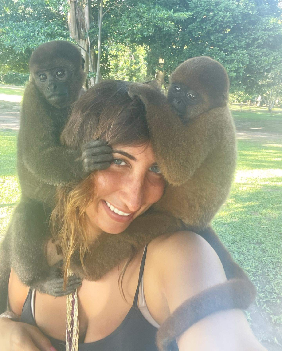 Pearls of Life: The Wild Animals, Biodiversity of the Jungle Rainforest ...