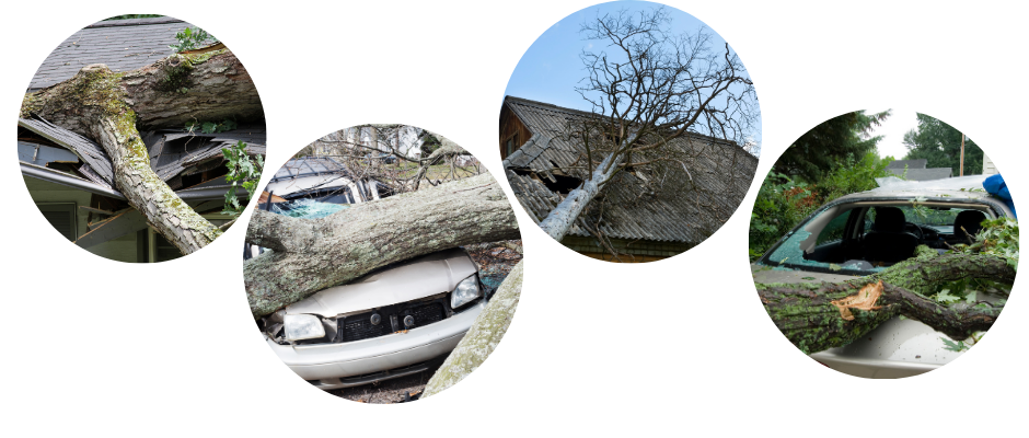 Emergency Tree Services — IRTS