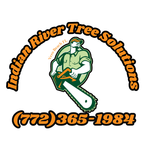 #1 Tree Service Vero Beach & Surrounding Areas - Indian River Tree Solutions