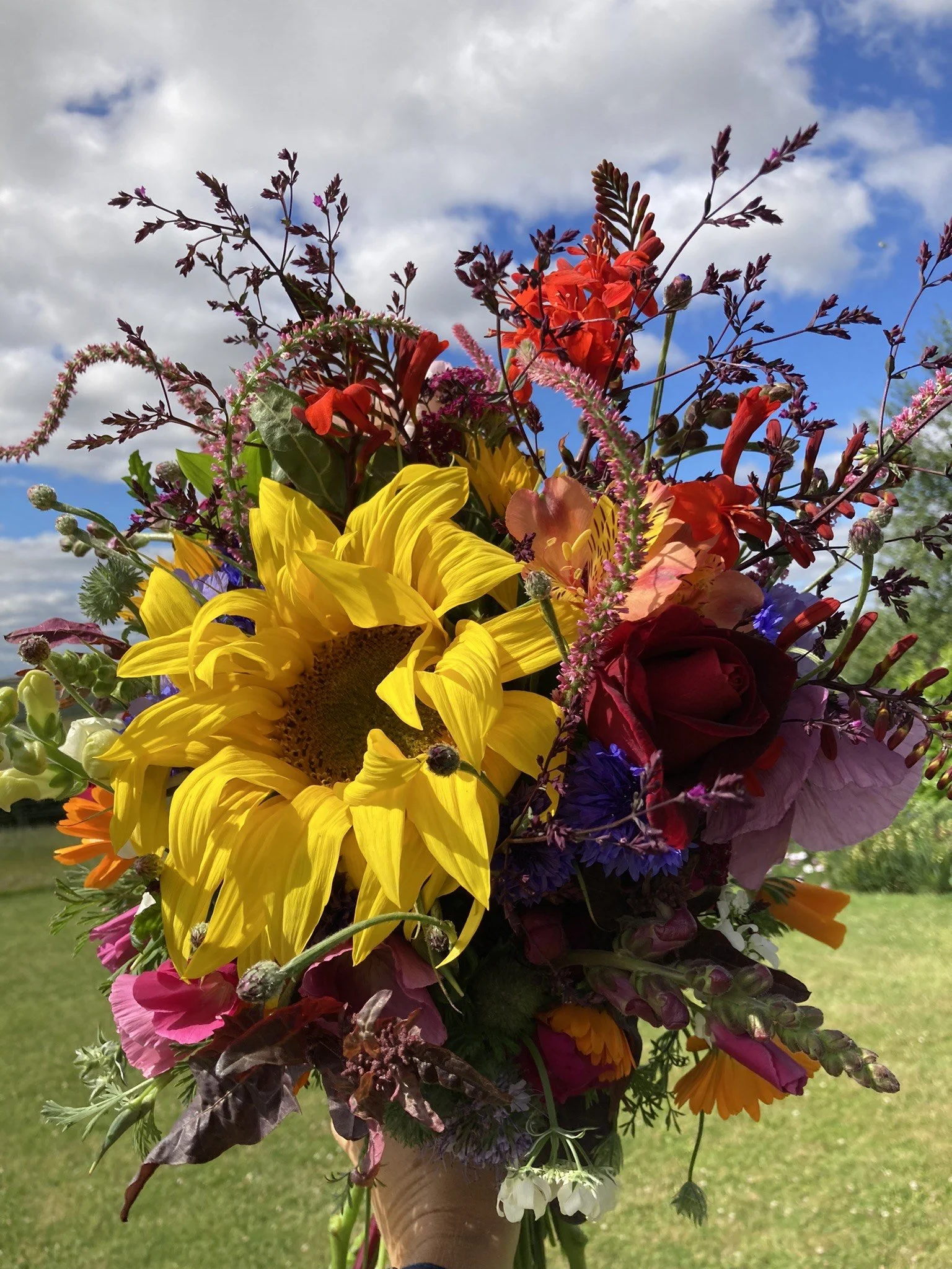 Farmer Mike's U-Pick -- Your Local Agritourism Destination