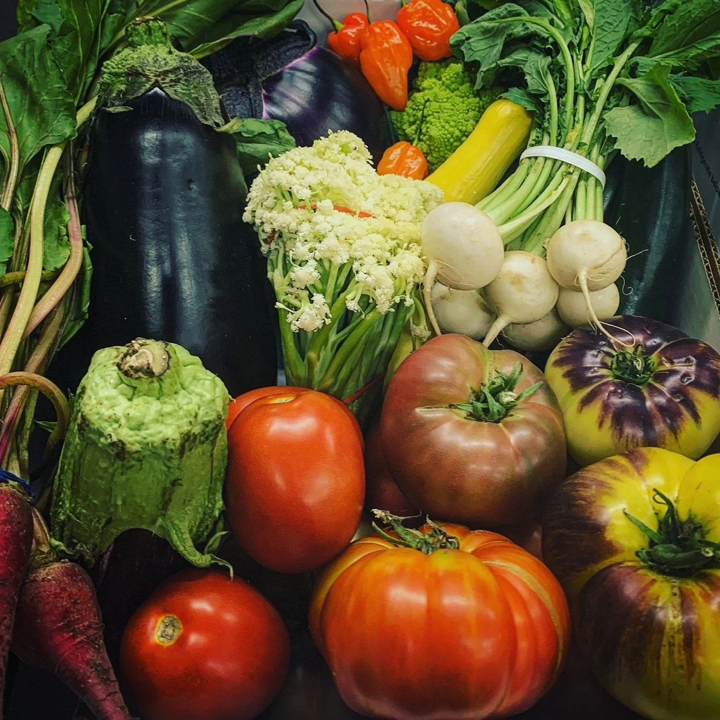 Farmer Mike's U-Pick -- Your Local Agritourism Destination