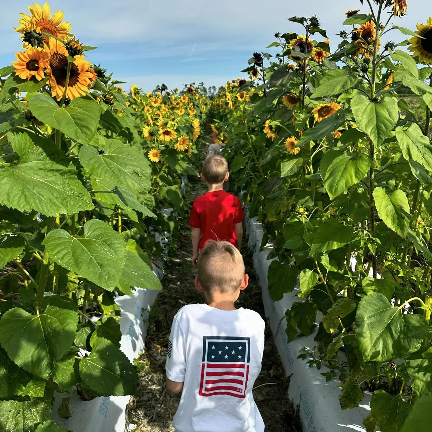 Farmer Mike's U-Pick Your Local Agritourism Desitnation