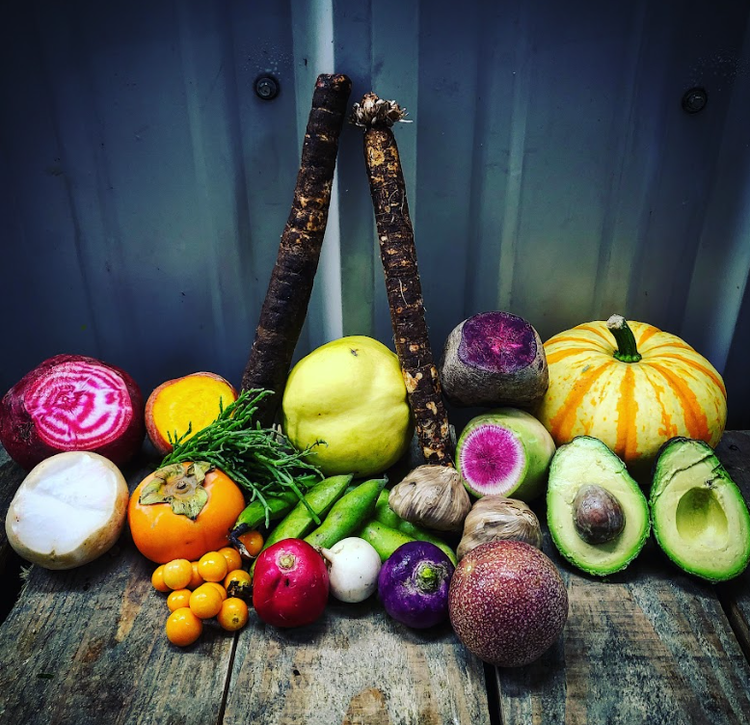 Farmer Mike's U-Pick -- Your Local Agritourism Destination