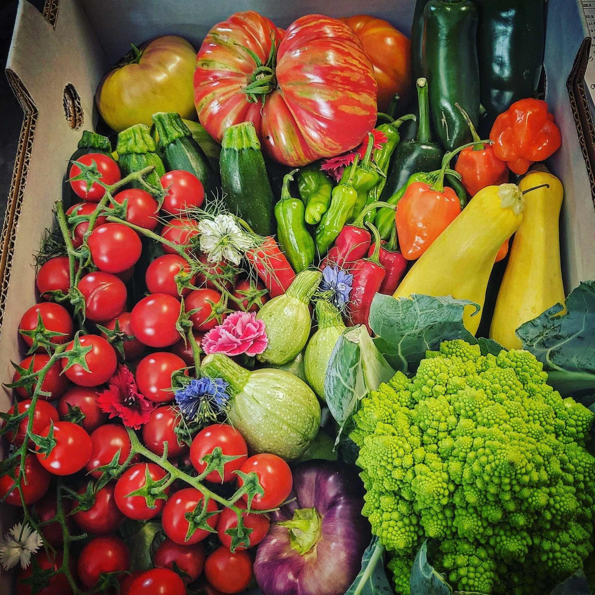 Farmer Mike's U-Pick -- Your Local Agritourism Destination