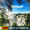 COSECSA 2024 — SELF