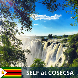 COSECSA 2024 — SELF
