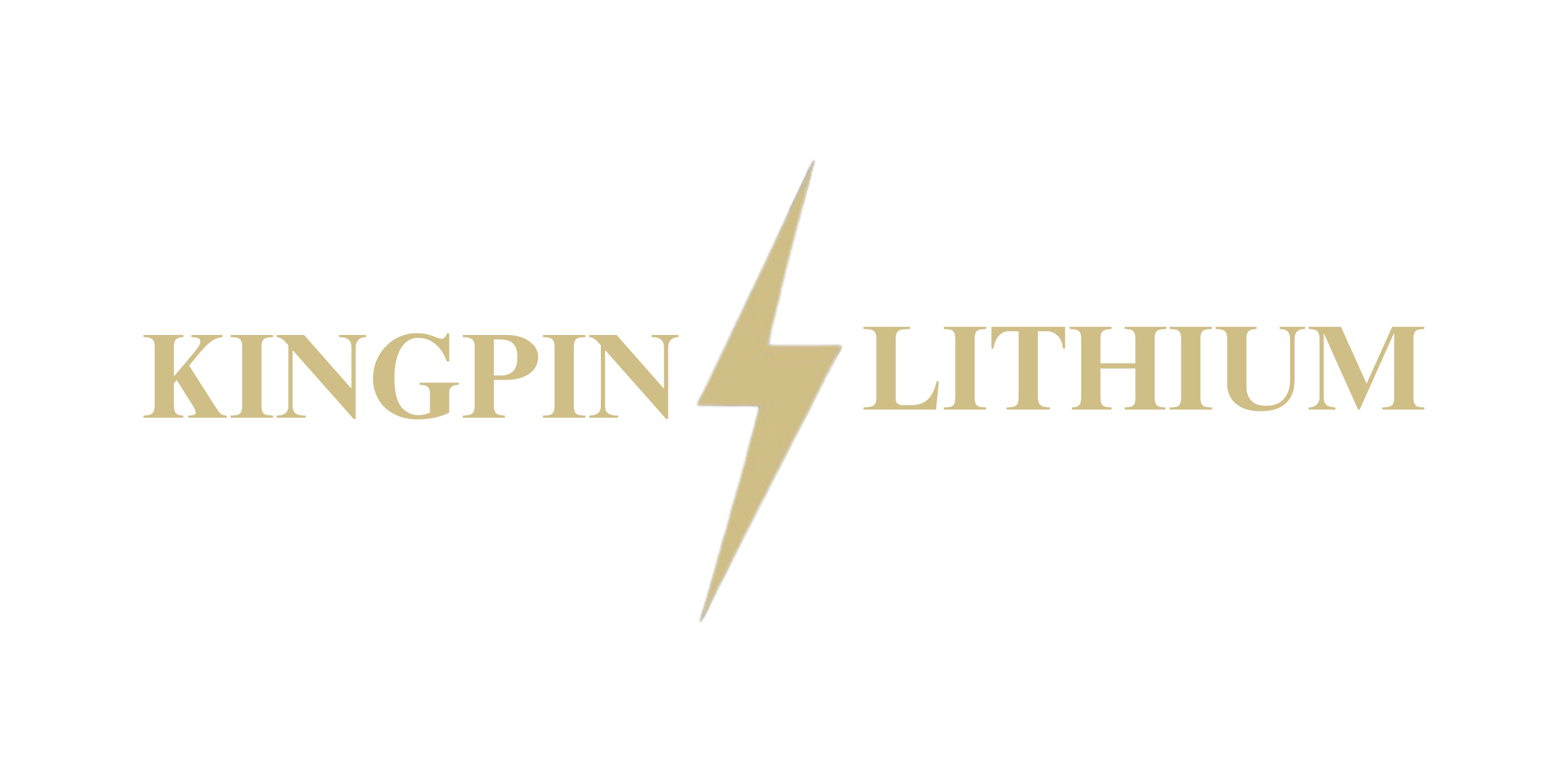 Scib LTO HO Battery (20ah cells) — Kingpin Lithium