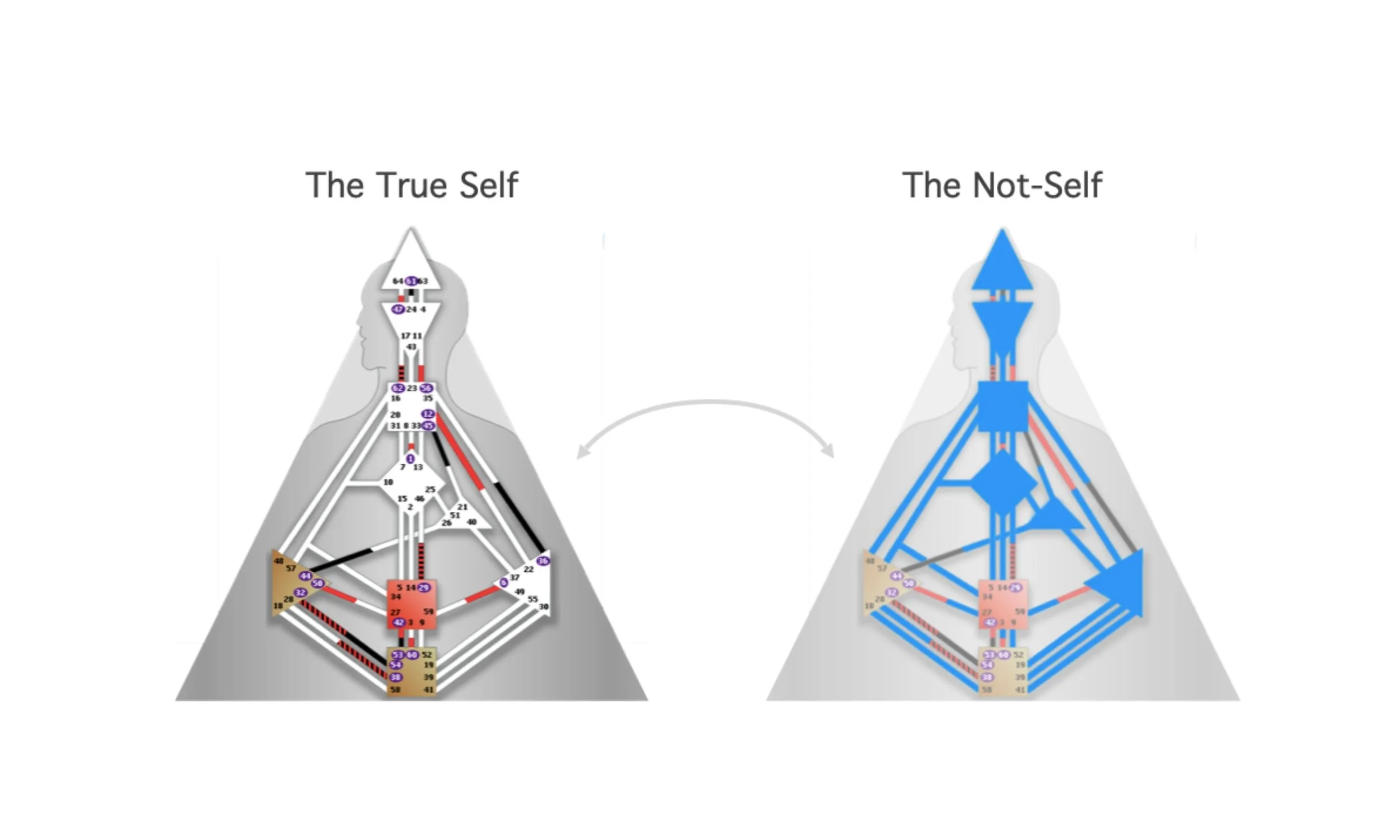 What is the true self? — Embody True Self | Human Design Readings