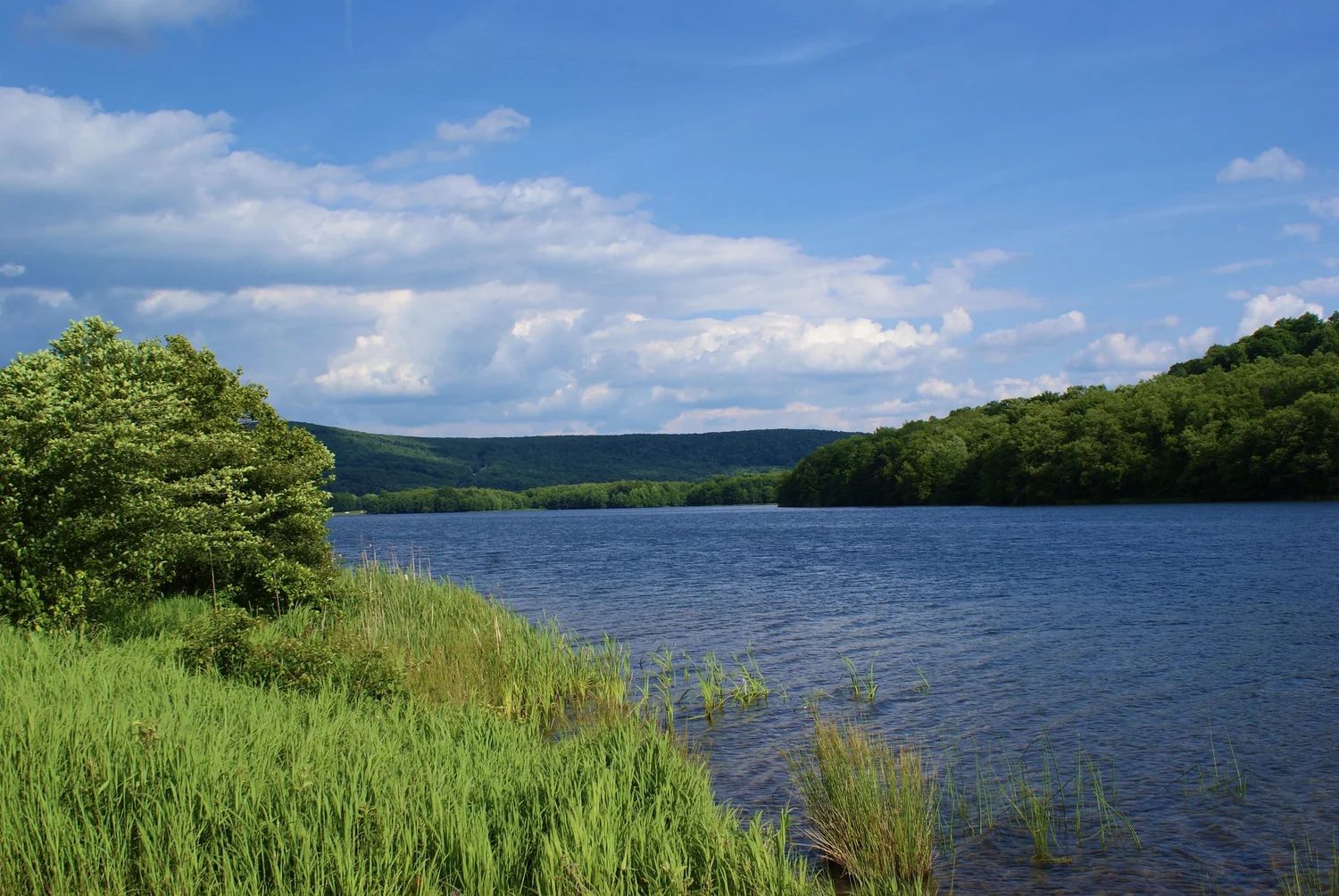 About — Friends of High Point Lake