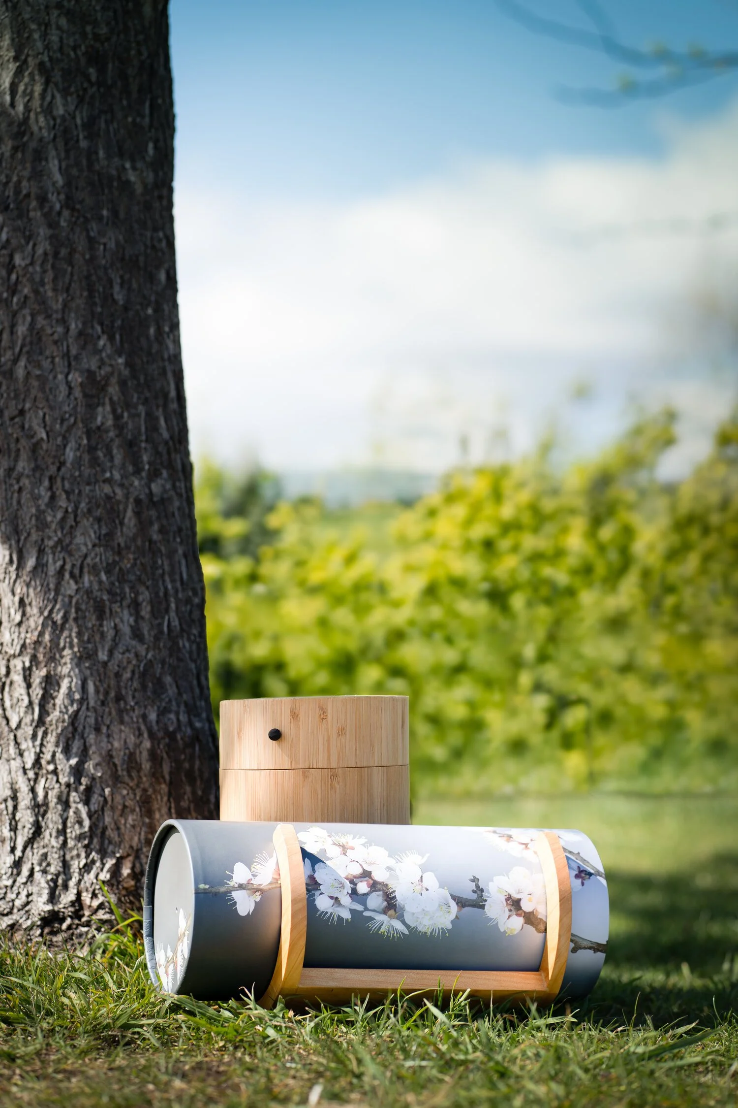 Direct Cremations — Mary Eleanor Natural Funeral Care