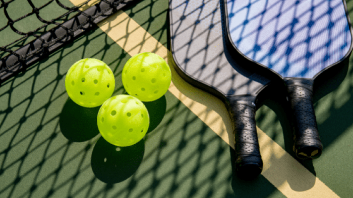 Dink Shots Northeast Ohio Indoor Pickleball