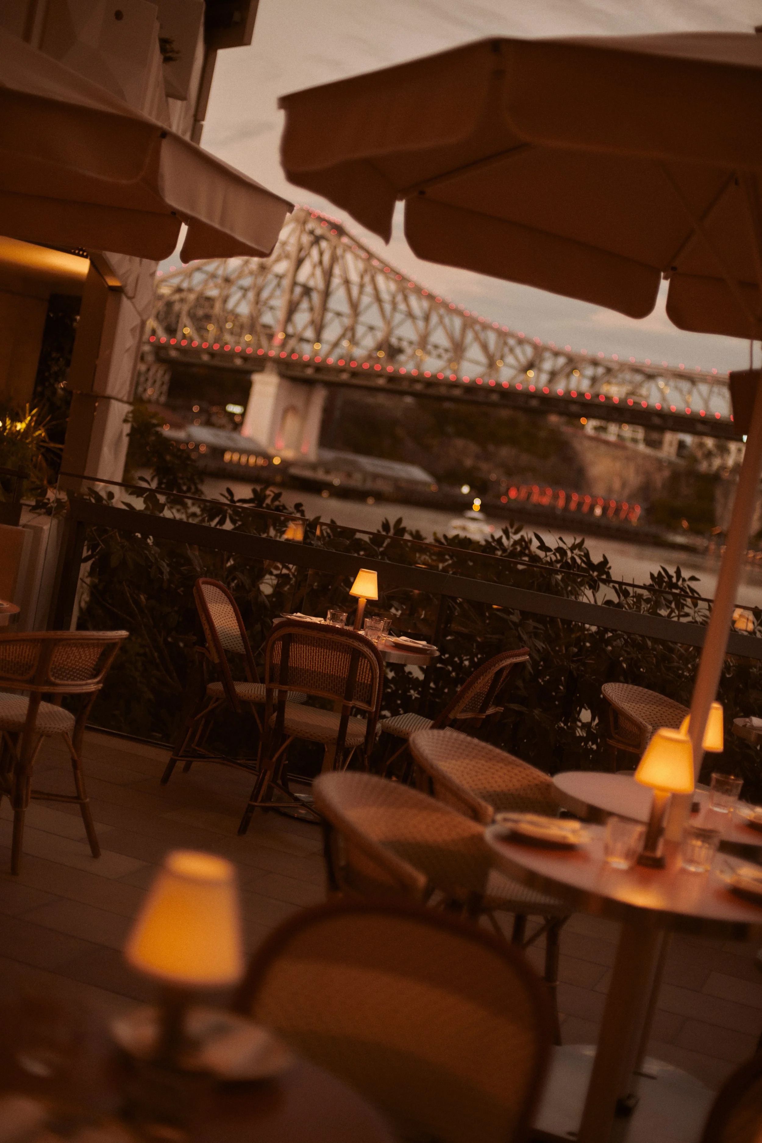 Bar Miette | Terrace, Cafe and Wine Bar - Brisbane