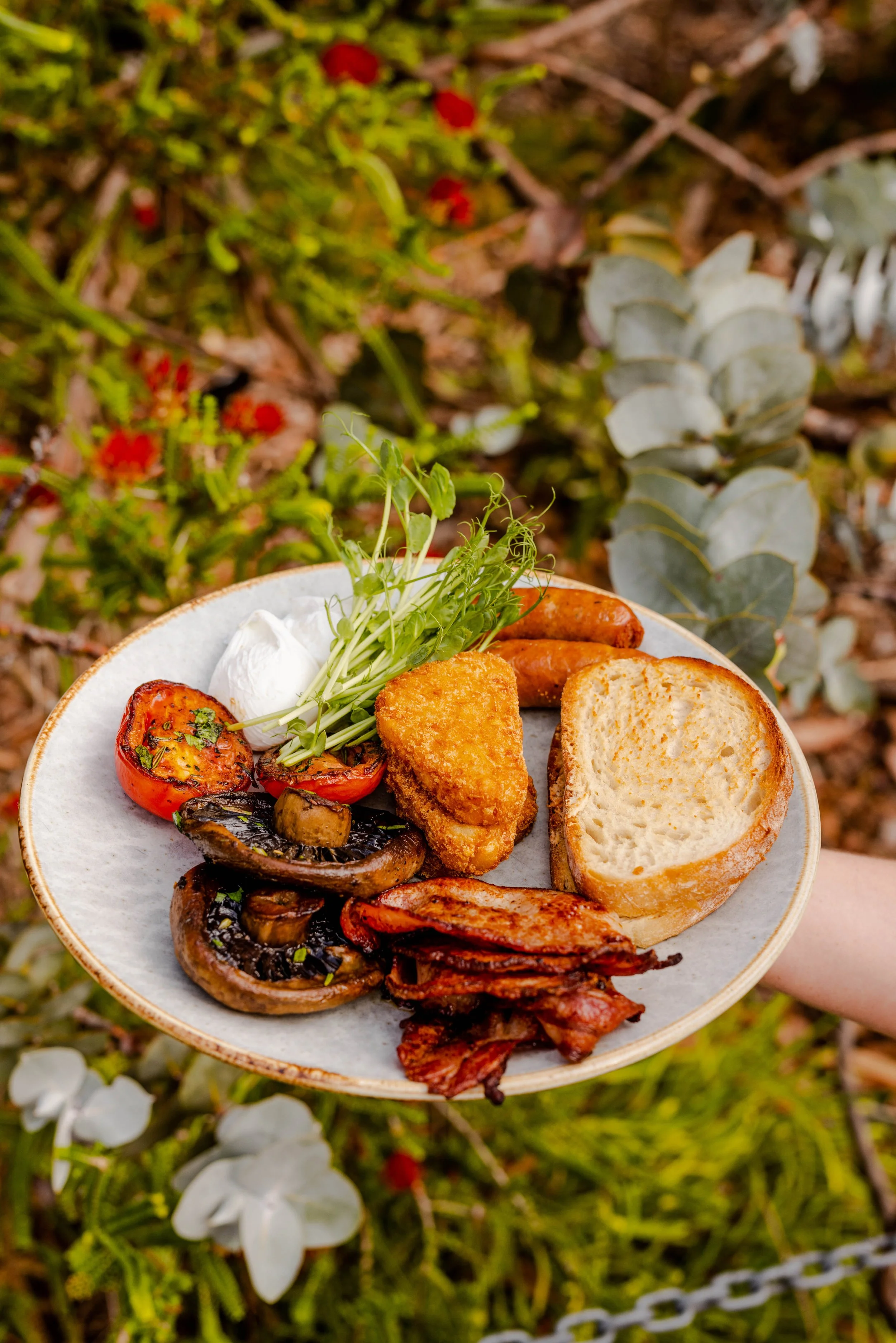Menus — Zamia Cafe