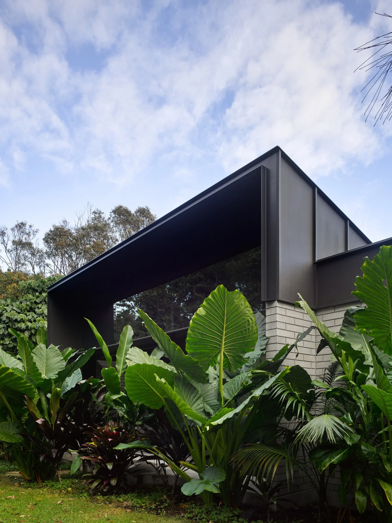 Muli Muli — DFJ Architects