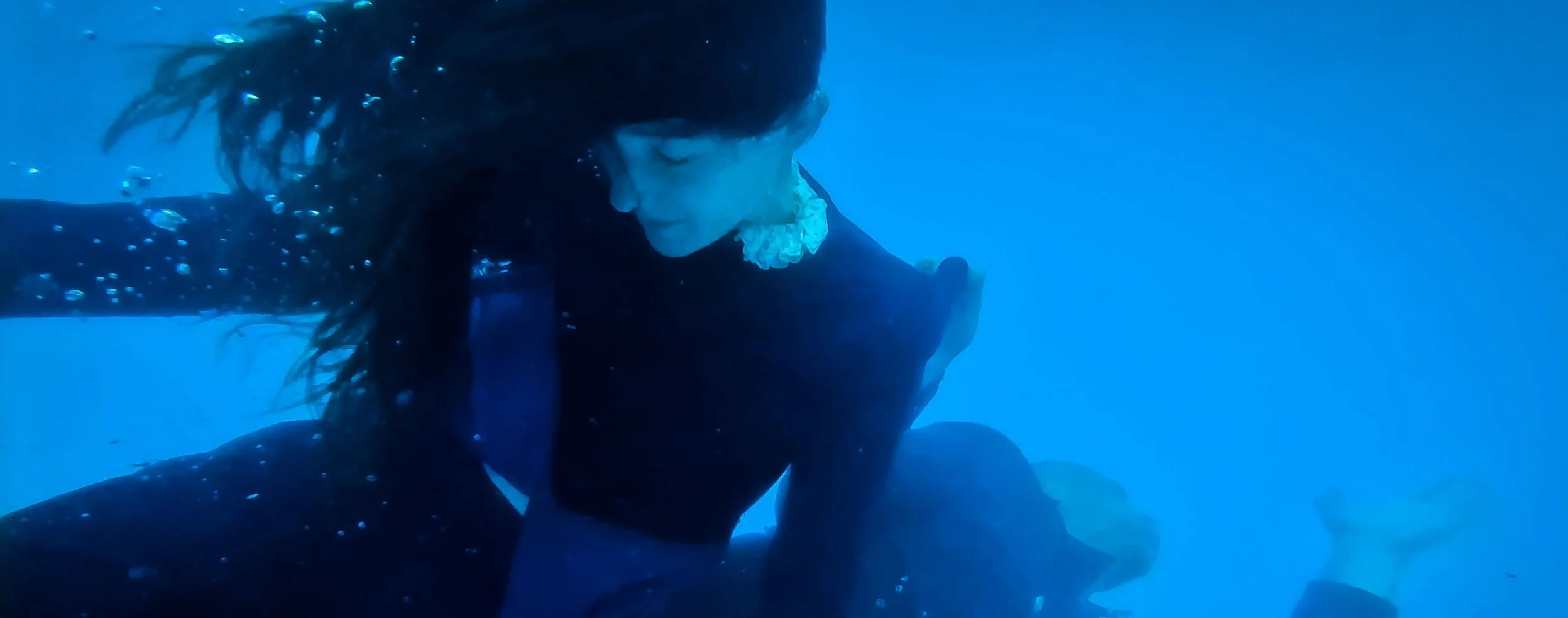 OPHÉLIE (QUANTITÉ NÉGLIGEABLE) — Pardes Rimonim