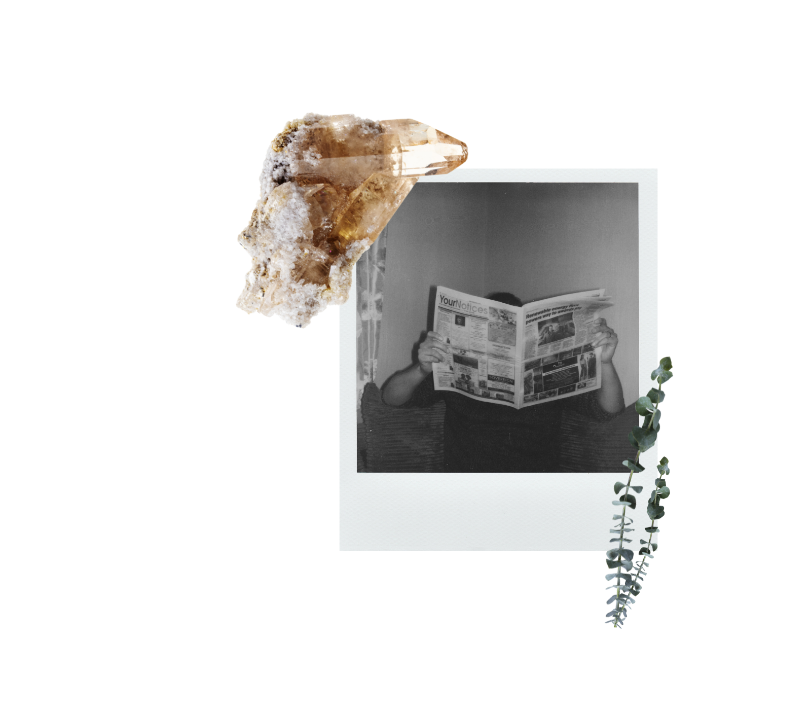 Press — Lisa Butcher