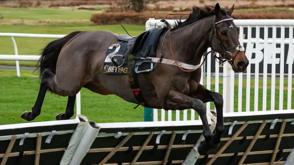 Horse racing news: Constitution Hill receives Timeform ‘x’ following ...