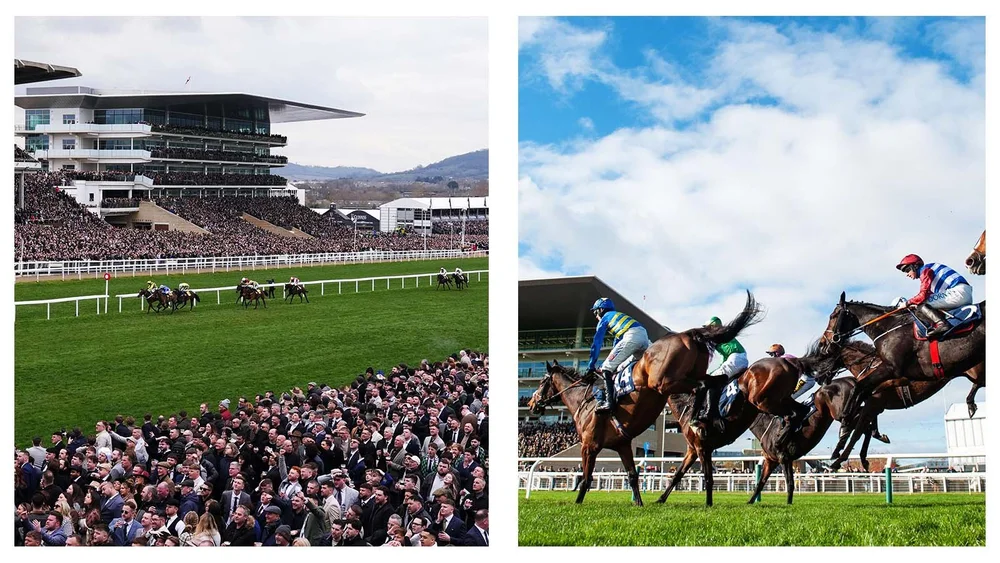Cheltenham Festival 2026 guide: Day-by-day race times, how to watch tv ...