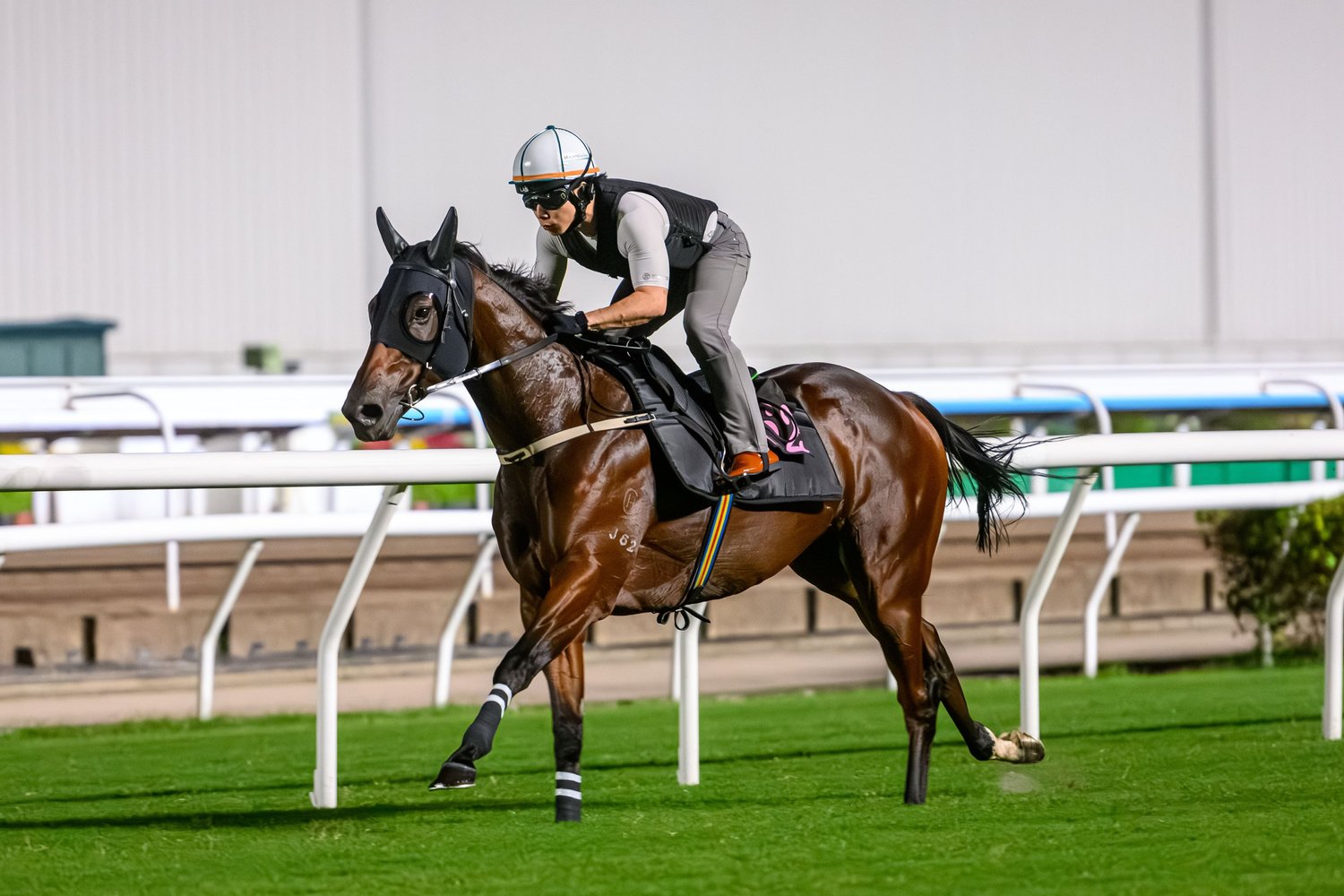 Horse racing news: Hong Kong’s Ka Ying Rising primed for Everest ...