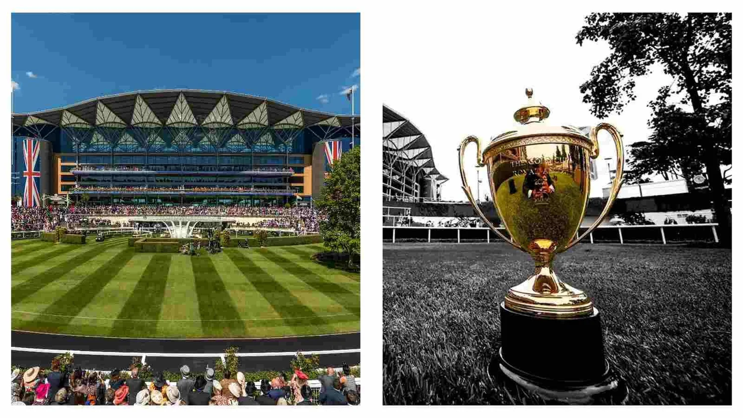 Royal Ascot 2026: Irish horses favourites to lift Gold Cup — Sports ...