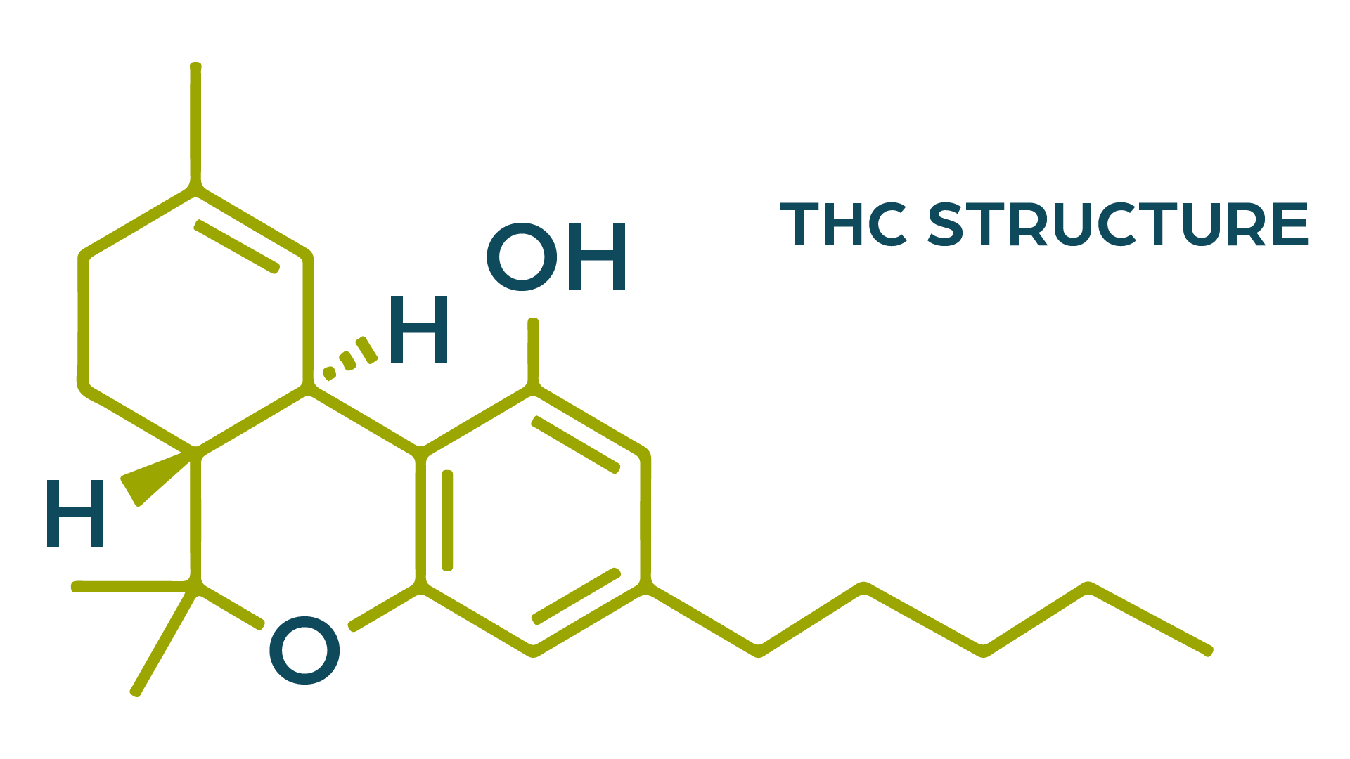 Understanding Cannabis Virginia Cannabis Control Authority Understanding Cannabis Virginia Cannabis Control Authority