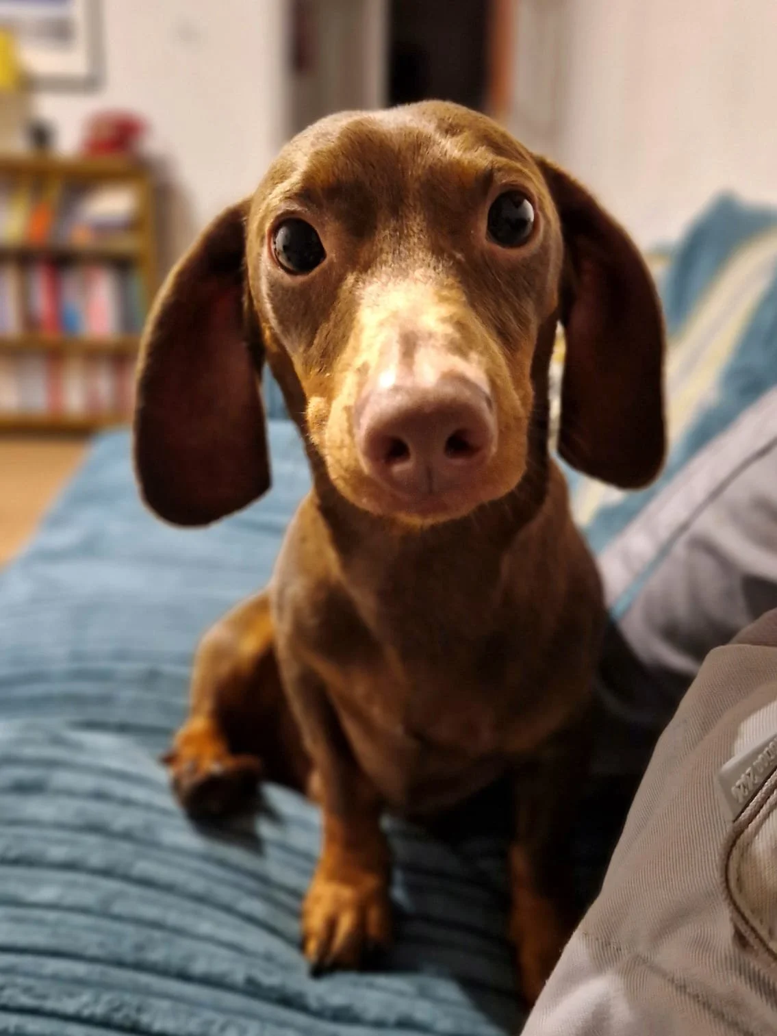 Leesa Morris | The Storytelling Copywriter