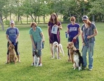 Rock Solid Dog Training, LLC