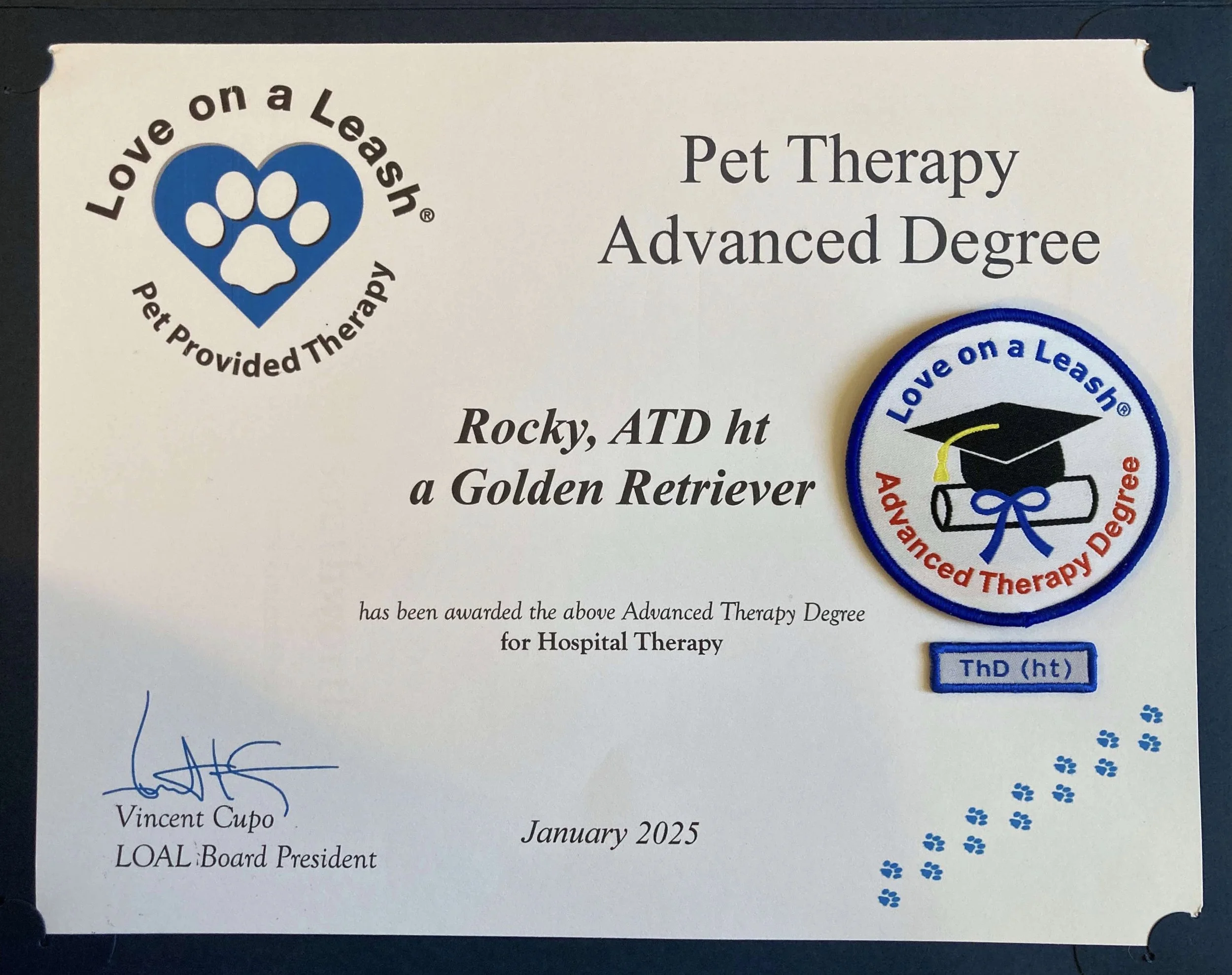 Rock Solid Dog Training, LLC