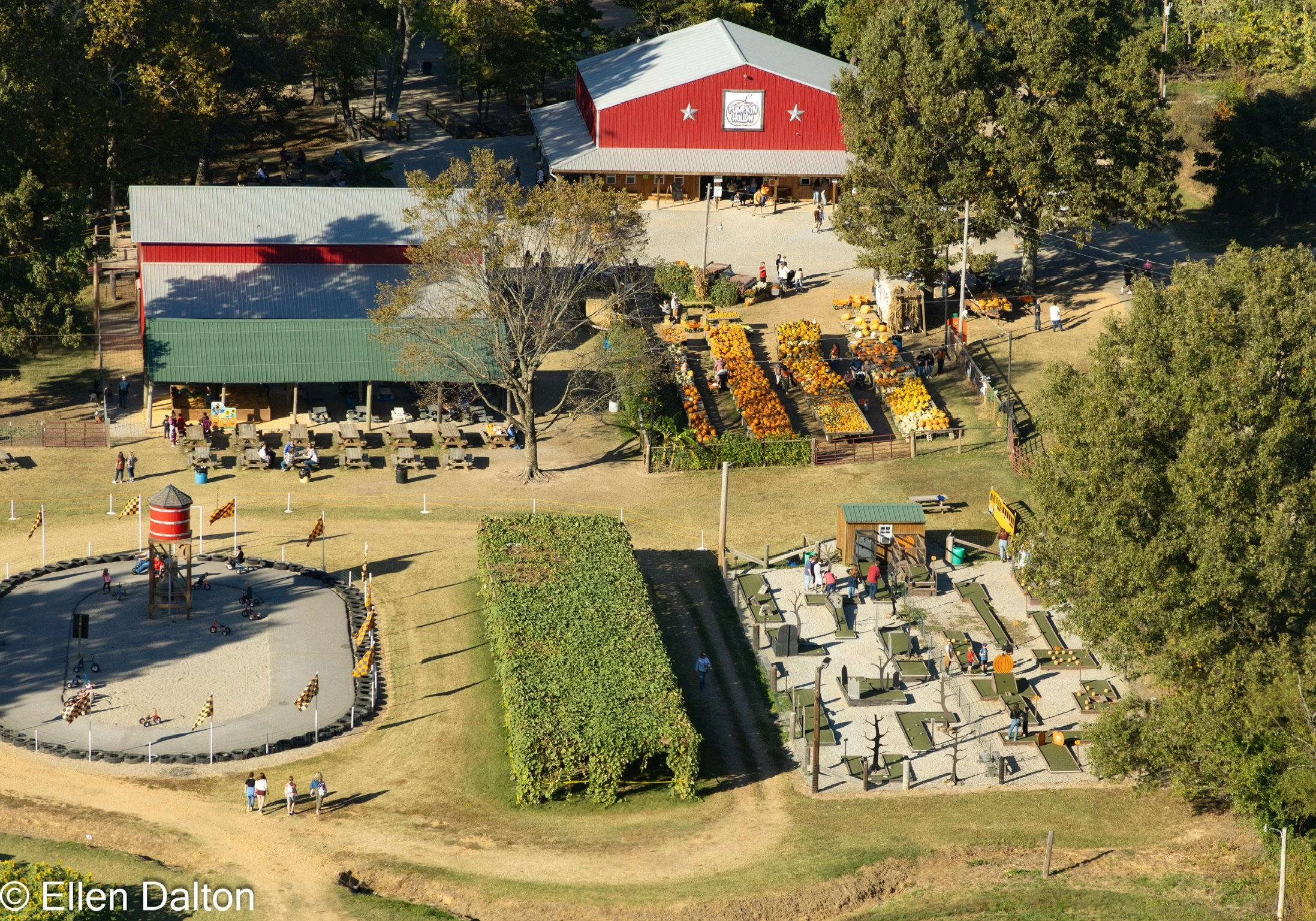 Hours & Pricing — Pumpkin Hollow