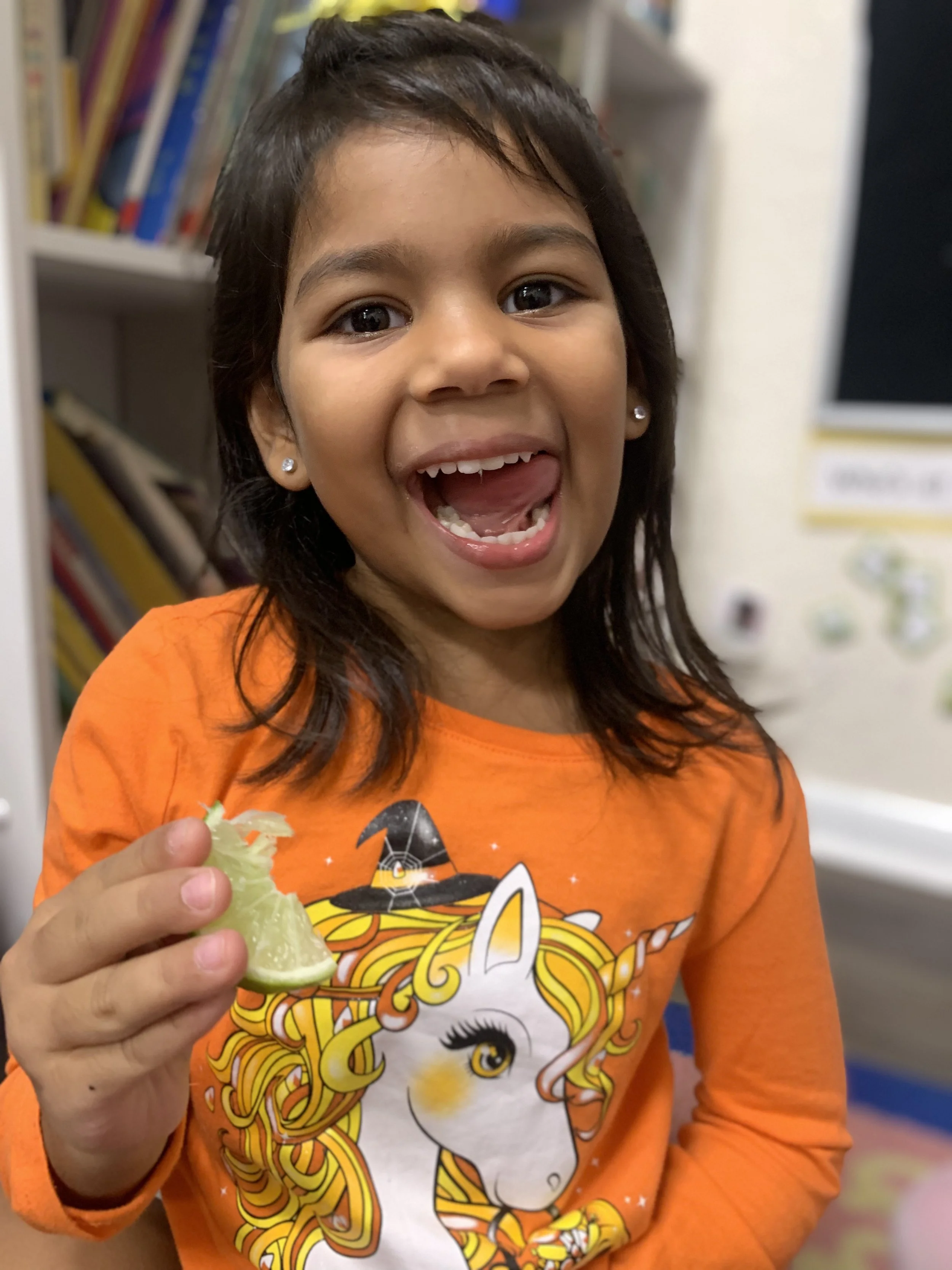 Elementary Education — Dayspring Academy