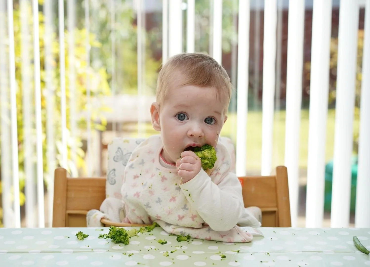 Feeding Therapy — Little Palm Speech and Feeding Therapy