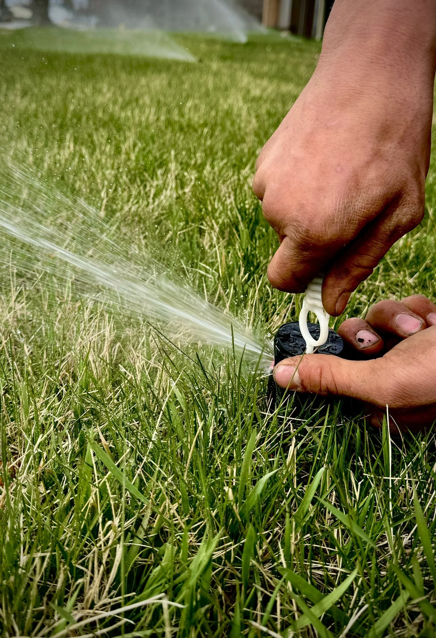 Skyline Landscaping LLC | Build Your Personal Backyard Escape