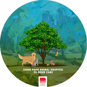 About Us — Como Park Animal Hospital