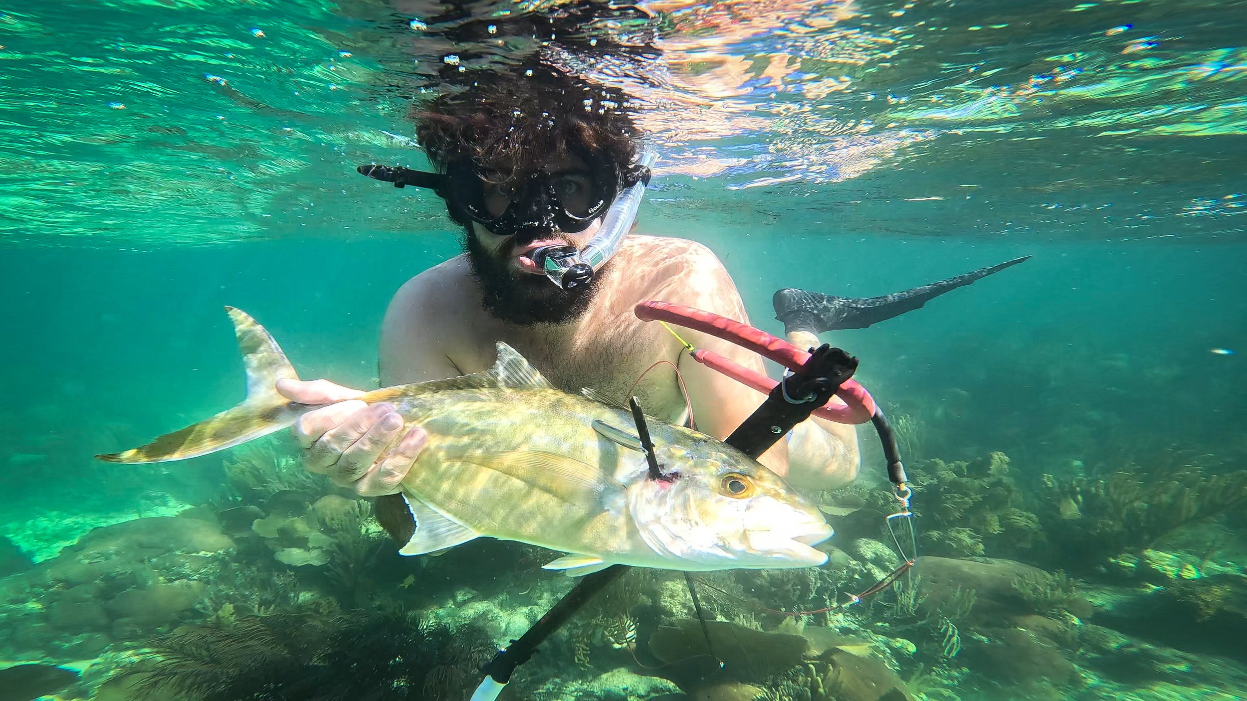 Shipwrecks & Stingrays — Sam Peek