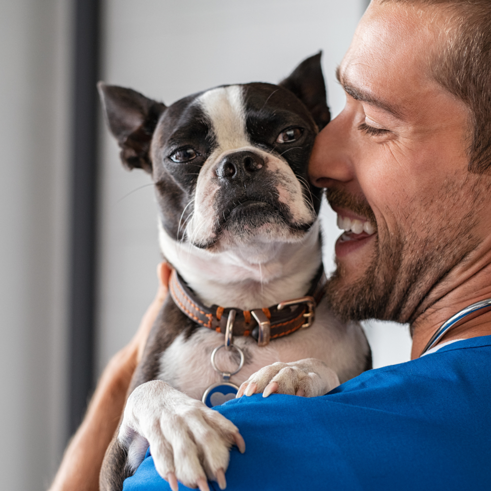 VMD Sciences | Accelerating Global Veterinary Medicines